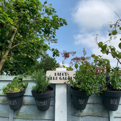 Herb Decals Potted Plant Labels Basil Label Oregano Label - Etsy