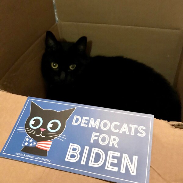 TNR Cat Tee Shirt| Trap Neuter Return | Grey Slim Fit Size M Ladies ...