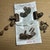 Rusted D Ring Fasteners, Set of 6, Rusted Fasteners, Rusted ...