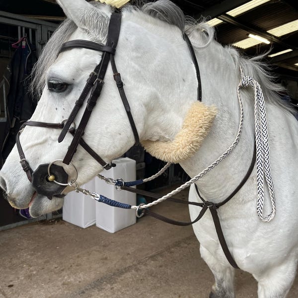 Bitless Rope Bridle. Different Colours and Sizes Available - Etsy UK