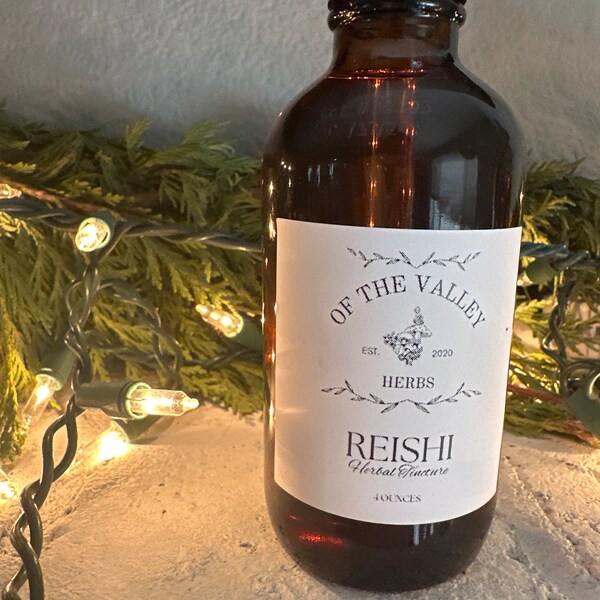 Dyeball Mushroom (pisolithus Arhizus) for Natural Dyeing // Dyes ...