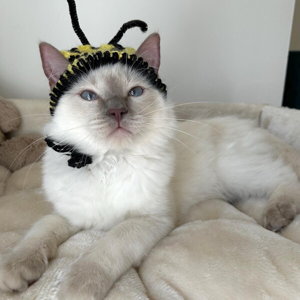 Crochet Bumble Bee Hat for Cats - Etsy
