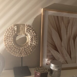 The Pink Shell Mirror Large Mirror Sea Shells Mirror - Etsy