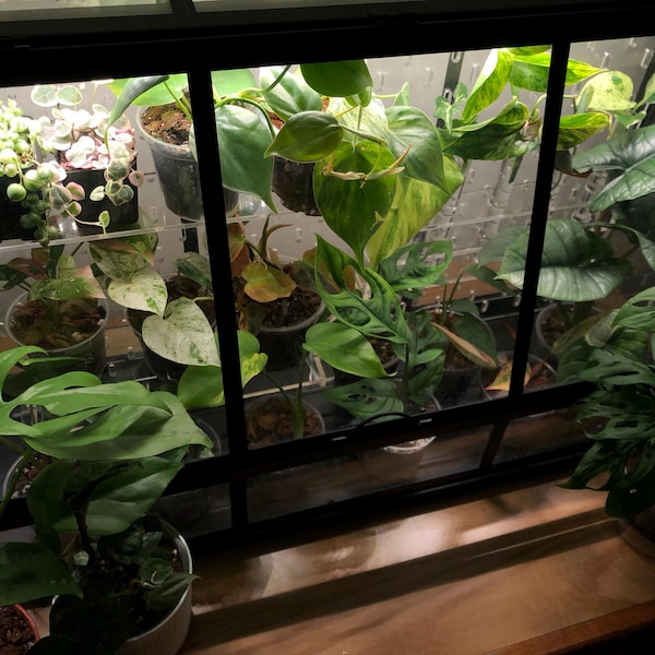AKERBAR Desktop Greenhouse (25in) Pegboards and SKADIS Accessories for ...
