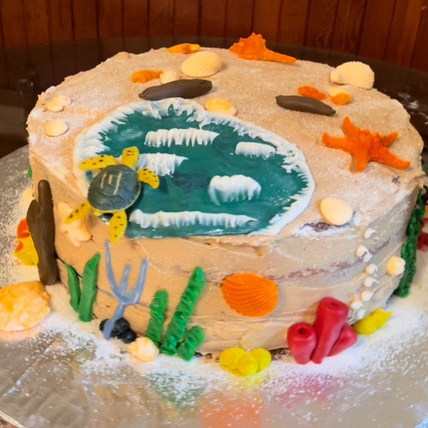 Hard Candy Edible Sugar Shells - Mermaid Mix - Very Detailed - Cupcake ...