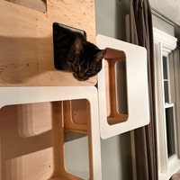 Modern Cat Furniture, Cat Wall Shelf, Square Shelves, Cat Wall ...