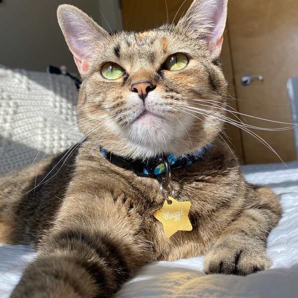 Engraved Star Dog or Cat Tag for Small Pets - Etsy