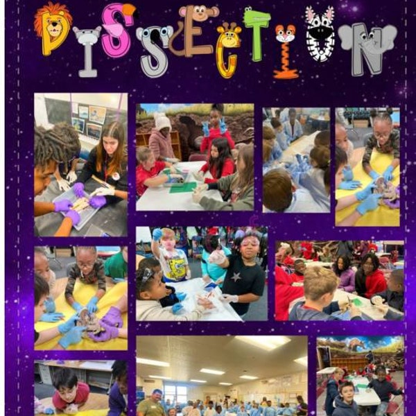 Zoo Alpha - Zoo Alphabet - Alpha Pack - Alphabet Clipart - Instant ...