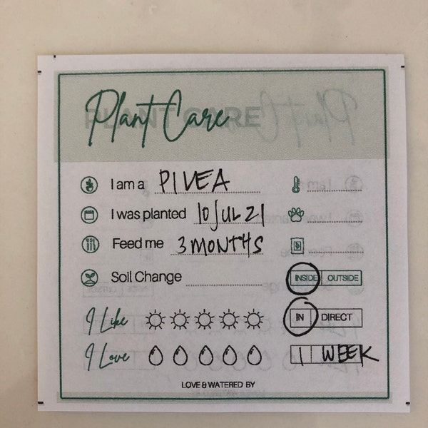 PLANT CARE Tags, Printable Plant Care Instructions Card, DIGITAL Care ...