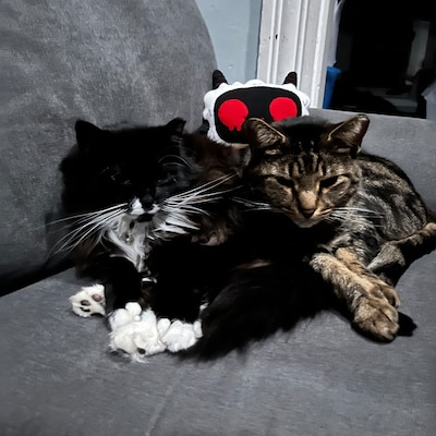 BTW Creature the ADHD Cat Plush Autism Creature Toy Yippee - Etsy