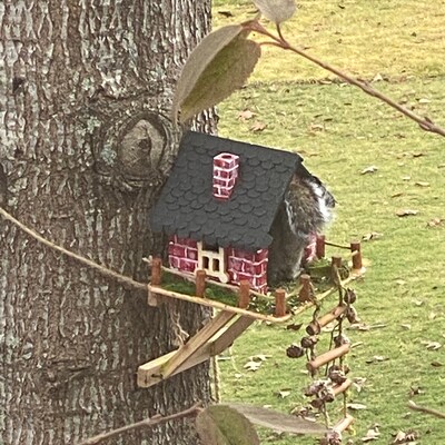 Wooden Squirrel Feeder, Personalized Squirrel House, Squirrel Home ...