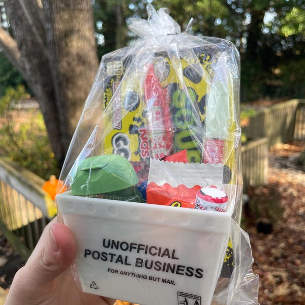 Mini Mail Tub Tote for Small Items - Etsy