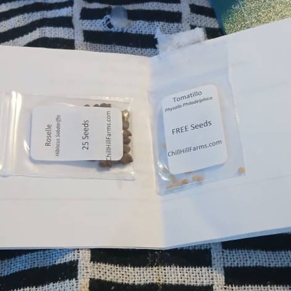 Shiny Blueberry 25 Seeds Vaccinium Myrsinites Organic & Non-gmo Florida ...