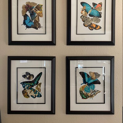 Butterflies No. 16 1925 Papillons MO-96 Fine Art Print - Etsy