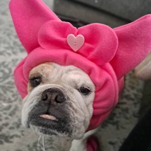 Pet Neck Scarf Dog Neck Warmer Puppy Scarf Winter Dog Scarf - Etsy