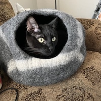 Luxurious Merino Wool Cat Cave Ultimate Comfort & Eco-friendly Cactus ...