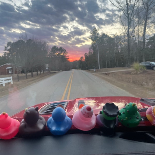 Duckwood LED , the Original LED Duck Bar - Etsy