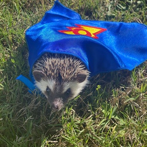 Mini Personalized Superhero Cape | Plush Animal and Doll Custom Super ...