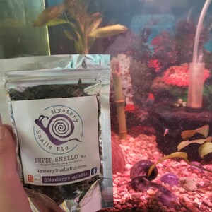 Super Snello 8oz Aquatic Snail Food Dehydrated Snail | Etsy