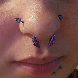 Half DARK PURPLE / SILVER 4G, 5G, 6G, 7G, 8G, 10G, or 12G Anodized Astm ...