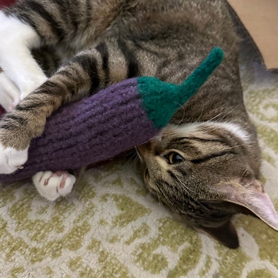 Catnip Infused Stars Cat Toy - Etsy