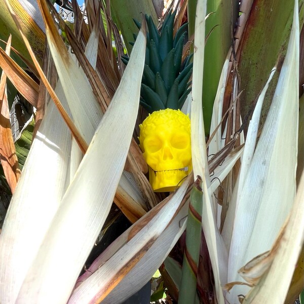 Set of 3 Very Pretty 3D Printed Flowers in Vases Includes All 3 Shown ...