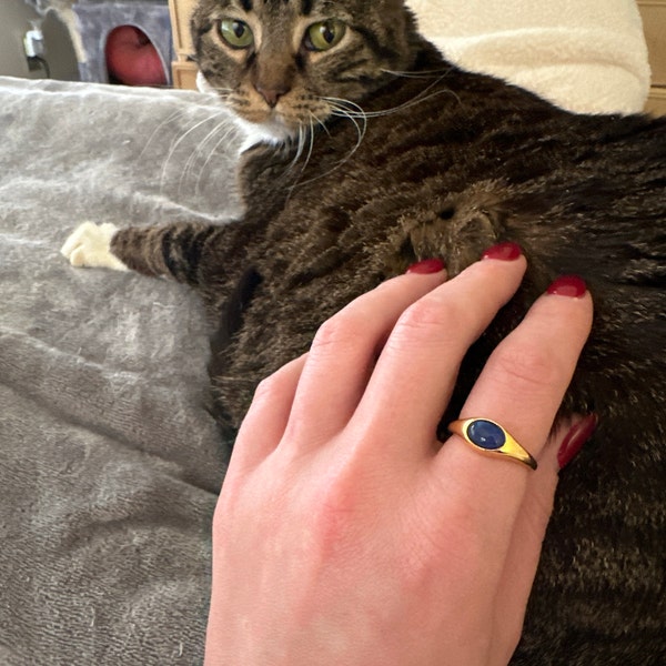 Signet Mood Rings by Caitlyn Minimalist • Statement Gemstone Rings in ...