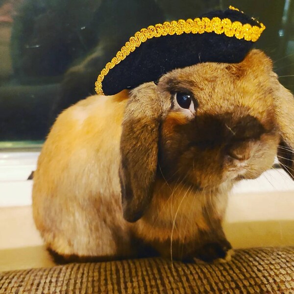 Colonial Tricorn Pirate Hat for Pet Bunny Rabbit and Other Small Pets ...