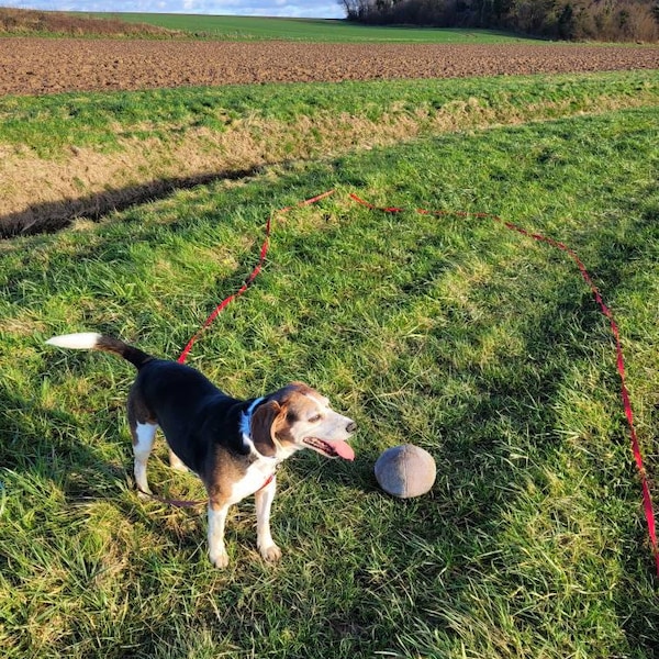 PDF Fabric Ball - 4 Size - Sewing Pattern and Tutorial - Easy ...