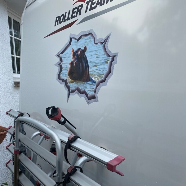 Motorhome Vinyl Graphics Sticker Decal RV Caravan Camper Life 70CM X ...