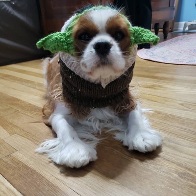Baby Yoda Snood Cavalier Spaniel Snood Cocker English Toy Spaniel Snood ...