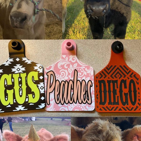 Custom Cattle Ear Tag - UV Printed Full Color Weatherproof ...
