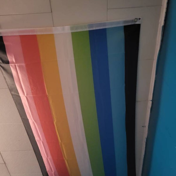 DIGITAL FILE: Printable Extended Pride Flag Reference Guide Includes ...