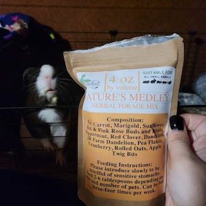 Hamster Gerbil Rat and Mouse Forage Mix | Etsy