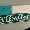 The Simpsons Street Sign the Simpsons Decor Evergreen Terrace the ...