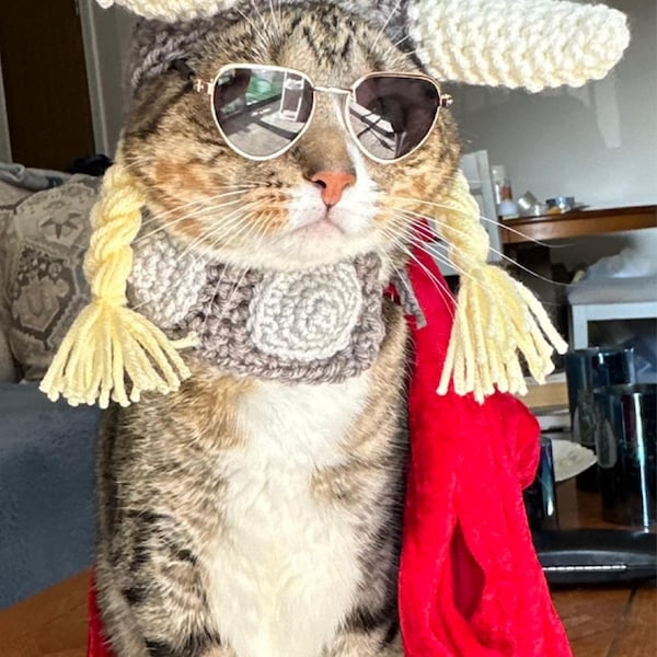 Brunhilde, Vikings, Valkyries, Wagner Opera, Hats for Cats, Pet Hats ...