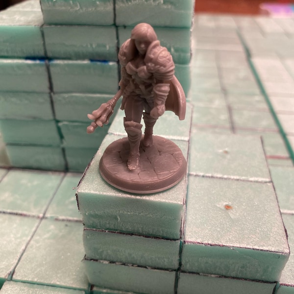 Dnd Human Female Paladin Mini Tabletop RPG Miniature D&D Figurines ...