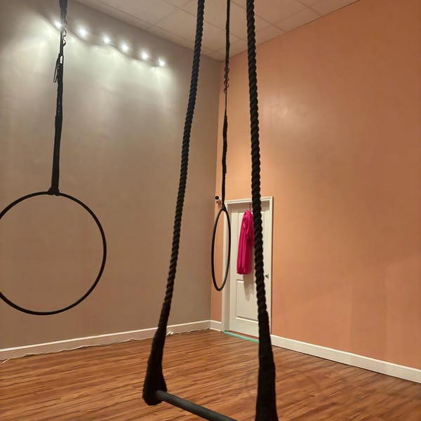 Aerial Dance Lyra, Dancing Circus Ring, Aerial Hoop Single Point, Yoga ...