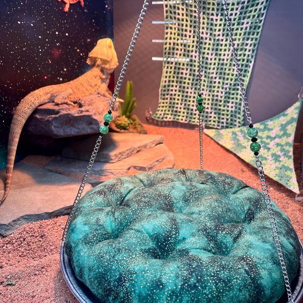 Bearded Dragon Lizard Pillow Swing; Papasan Style, Multiple Sizes ...