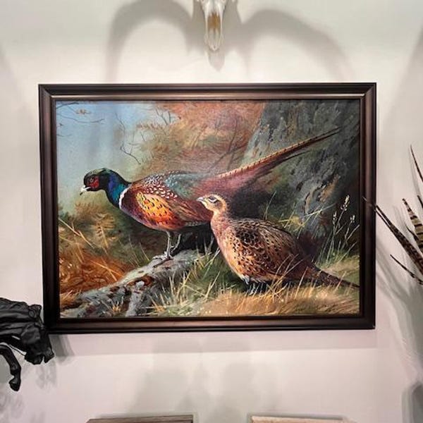 Framed Ring-neck Pheasant in Landscape, Ringneck Pheasant Oil Painting ...