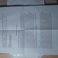 Pinus Roxburghii Chir Pine Pinus Longifolia 5 Seeds - Etsy Canada