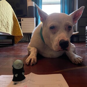 Pretty H8 Machine Taylor's Version Era ( HIGH QUALITY Comfort Colors ...