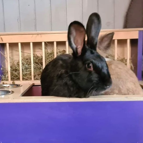 Nibbler Combo Spectra 3in1, Bunny Rabbit Hay and Food Feeder With Built ...