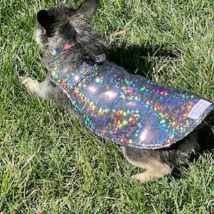 The Hawk Star Pet Protection Vest - Etsy
