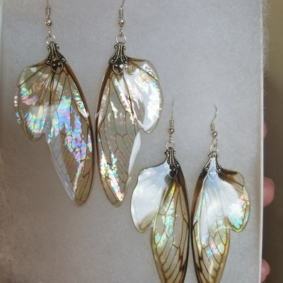 Extra Large Cicada Wing Fairy Earrings Real Insect Wing - Etsy