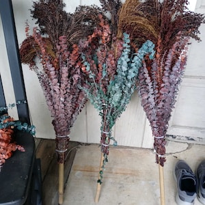 Mini Indian Corn 5 to 6 Length 10 15 30 and 40 - Etsy