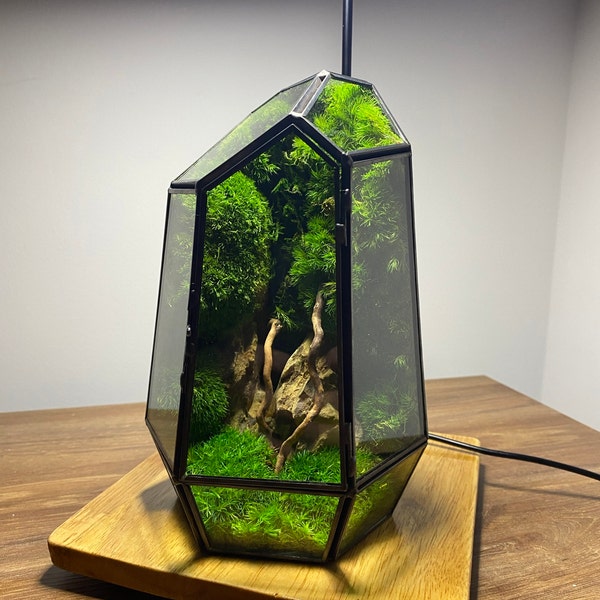 Geometric Terrarium | Prism | Desktop Mossarium Centrepiece | Preserved ...