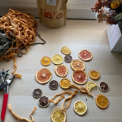 Dried Citrus Wheels in Small Boxes - Etsy Canada