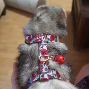 Ferret Harness Set With Leash Marble - Etsy