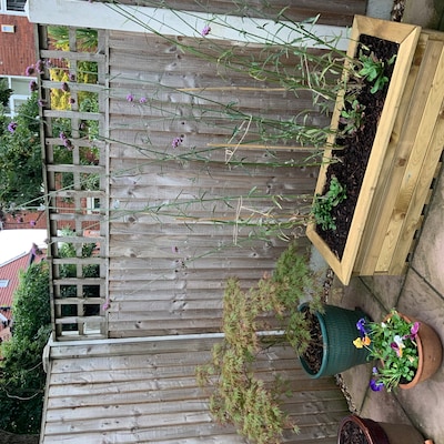 Hampton Large Corner Arbour - Etsy UK